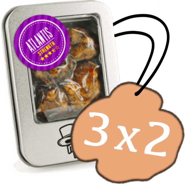 3x2 Trufas Magicas Atlantis | Magic Truffle Me!